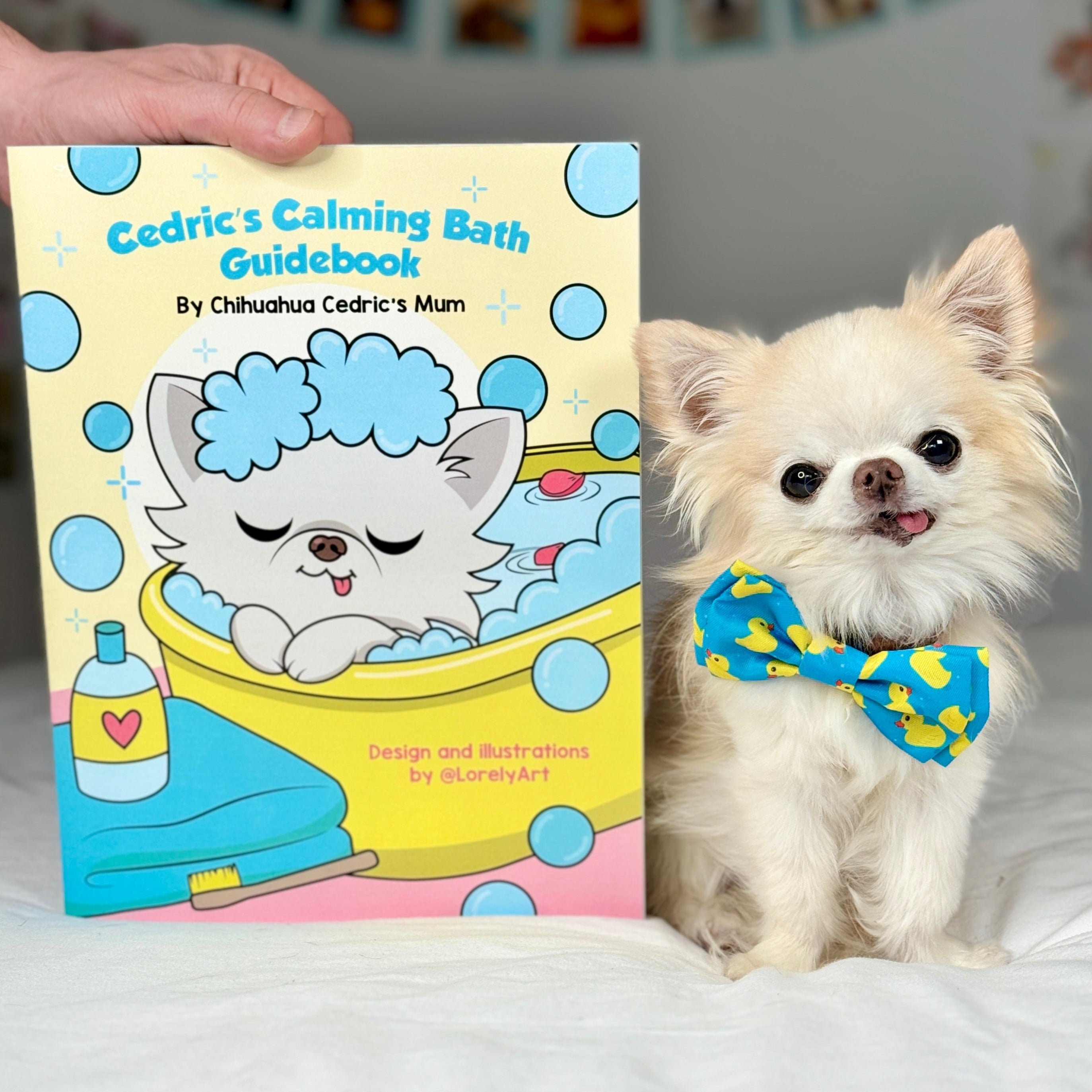 Cedric's Calming Bath Guidebook – Dog Bath Training Tips